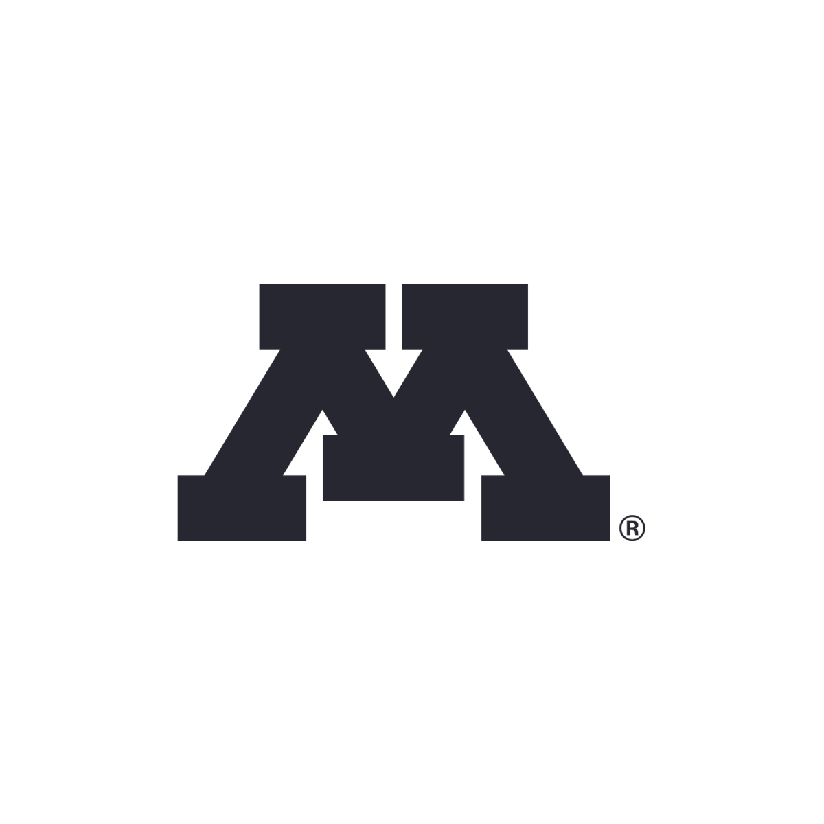 University of Minnesota Minnesota Supercomputing Institute for Advanced ...