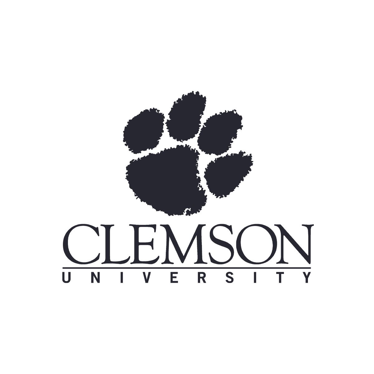 Clemson University Computing and Information Technology (CCIT ...